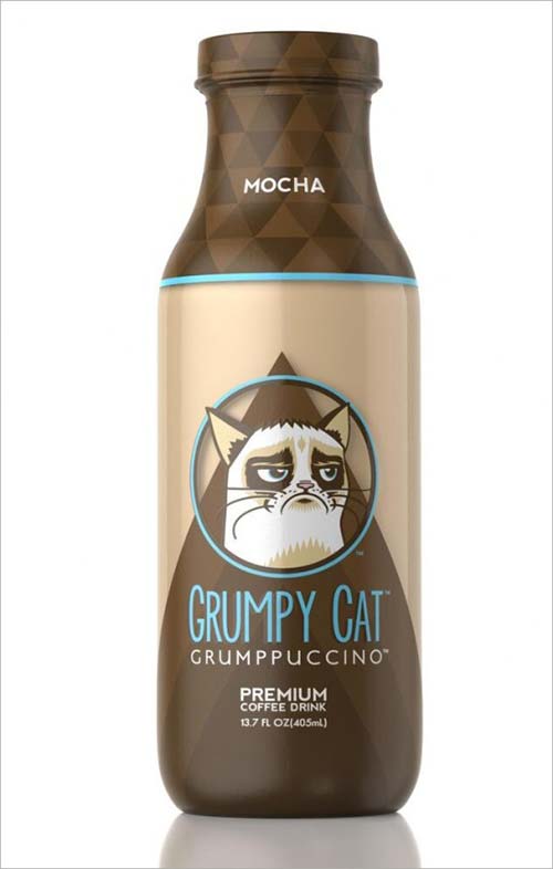 Mildly Satisfied, Still Grumpy: Grumpy Cat Prevails over Infringers ...